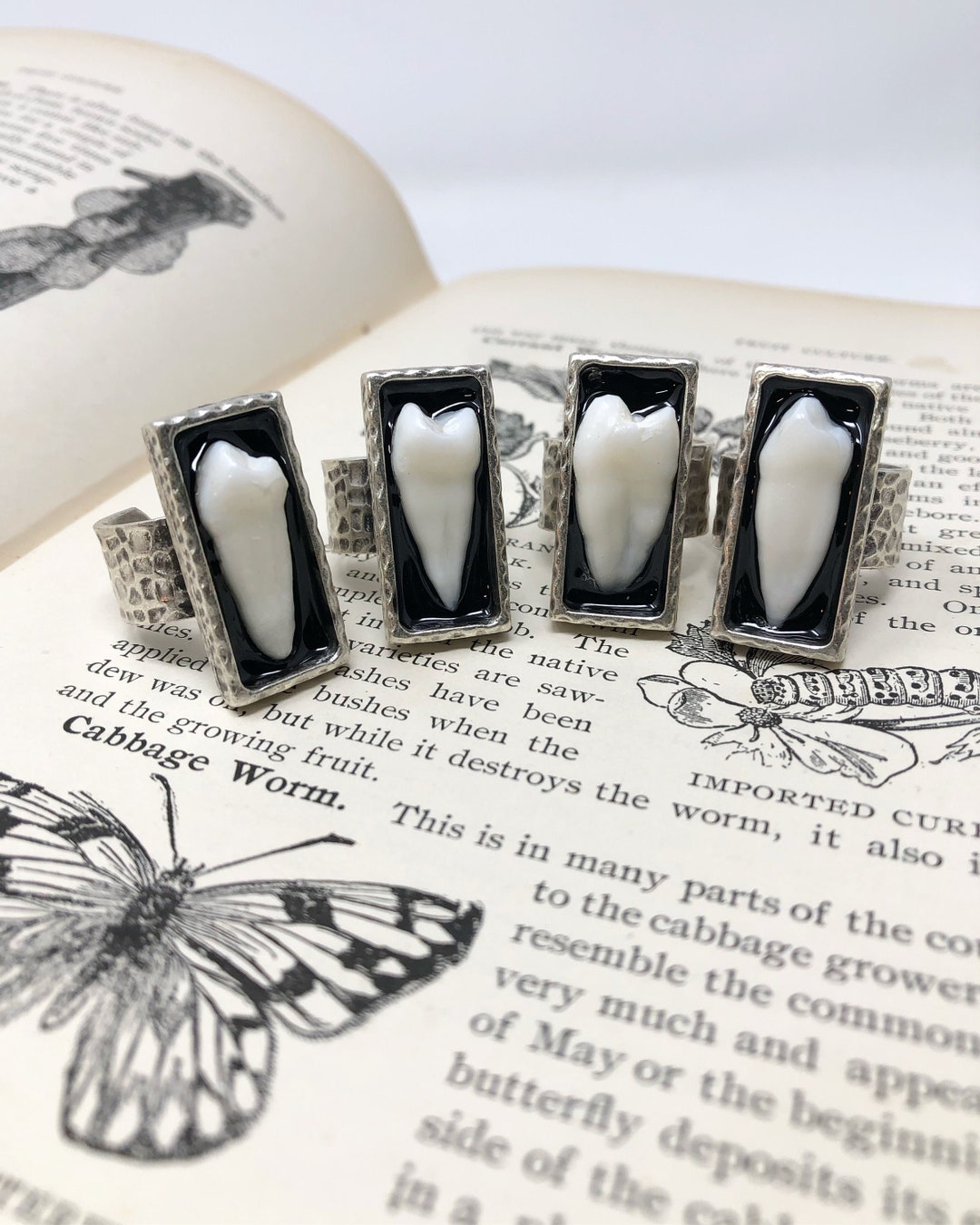 LAST ONE Real Human Tooth Rectangle Setting Adjustable Ring With Wide ...