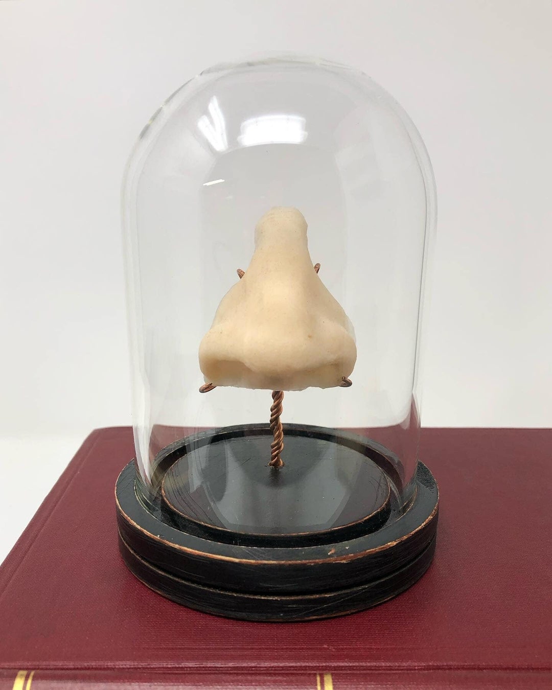Rare Prosthetic Human Nose - Vintage Medical Nasal Prosthesis in Glass ...