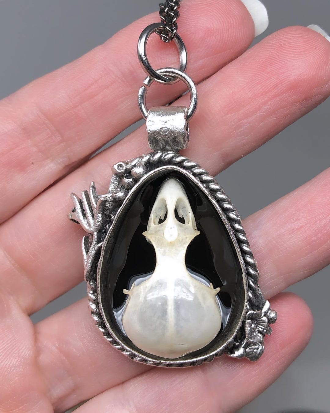 Sparrows Flight: Real House Sparrow Skull Pendant Necklace - Etsy