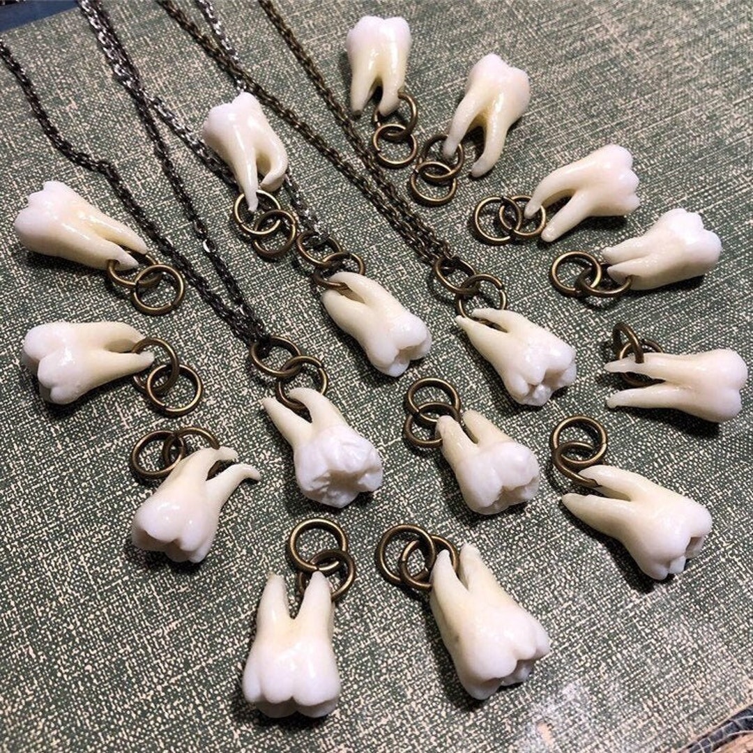 ULTIMATES: One Real Human Tooth Pendant Necklace With 2 Defined Roots ...