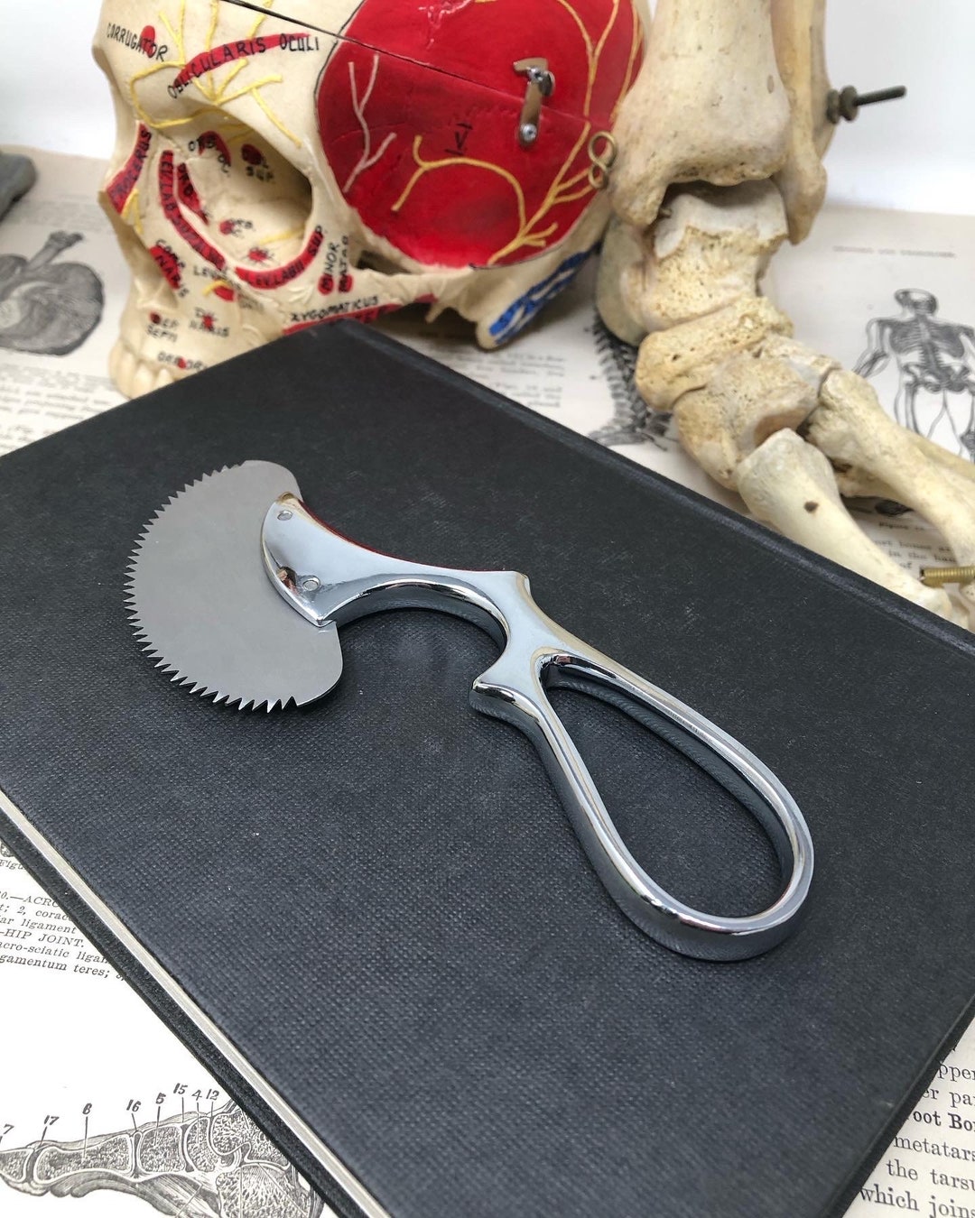 6" Amputation Bone Saw Handheld Limb Removal Surgical Medical Tool ...