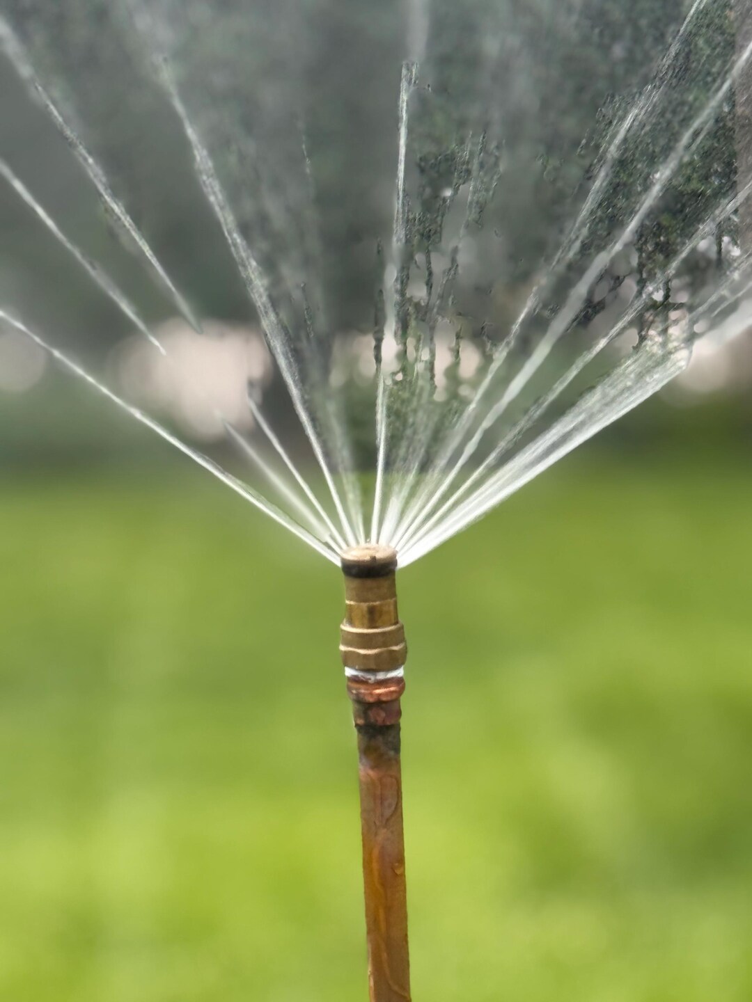 A Rare Form Sprinkler - Etsy