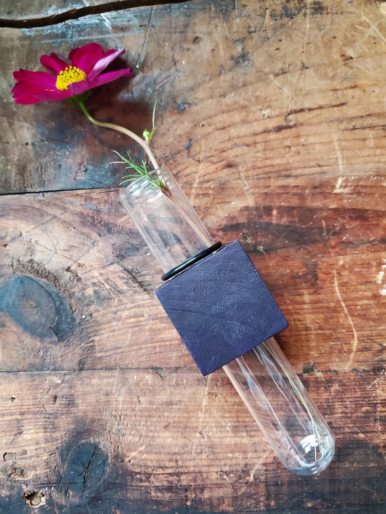 Colorful Cube Plant Propagation Test Tube Magnet - Dark Purple - Etsy