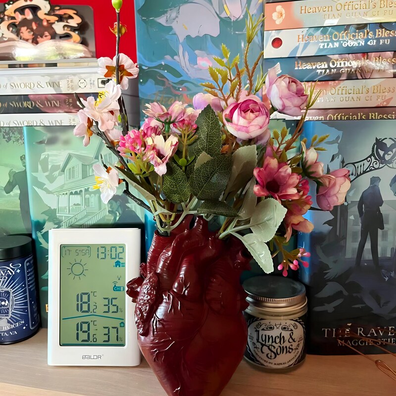 Anatomical Heart Vase - Etsy