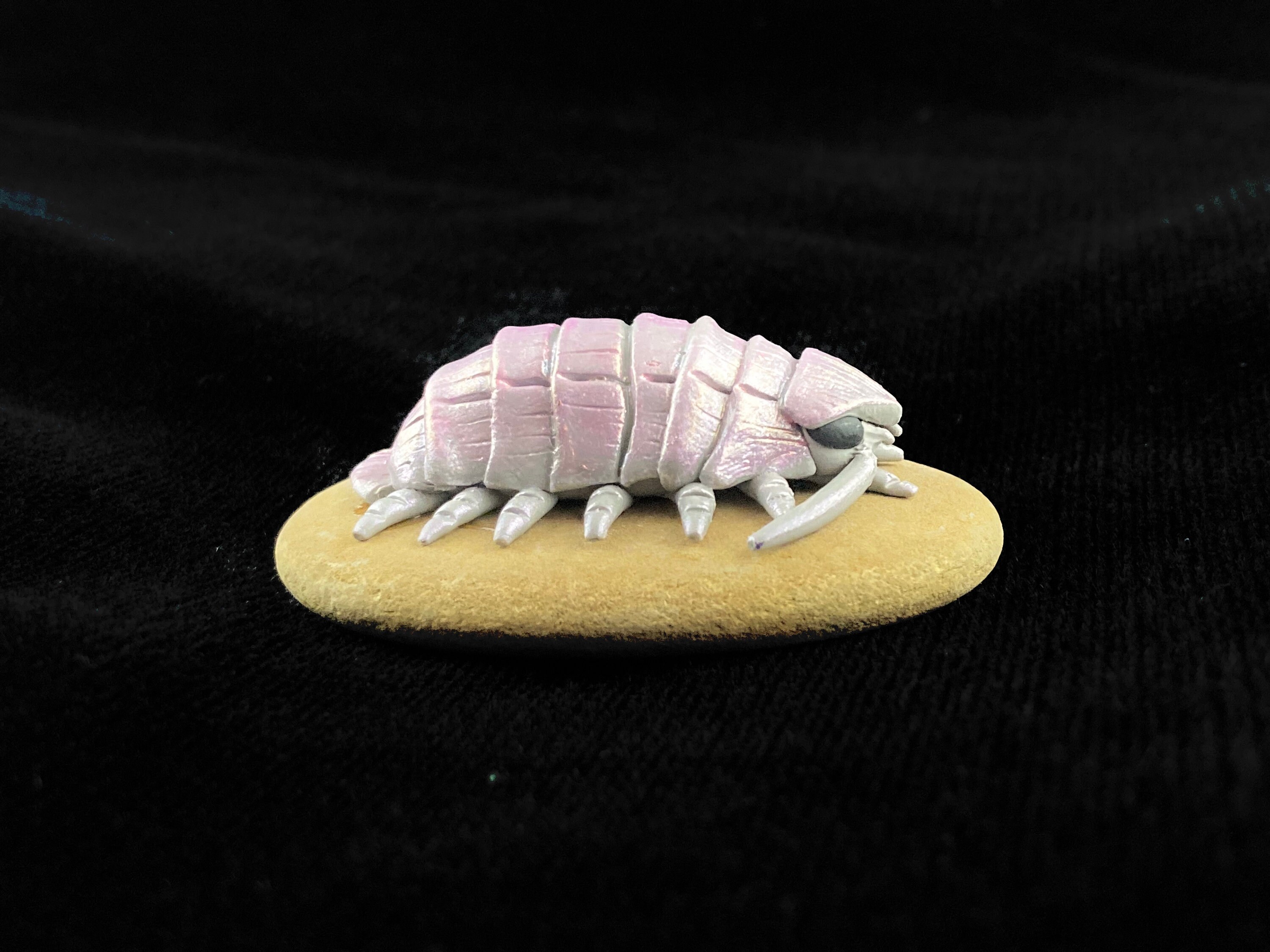 Giant Isopod Cat