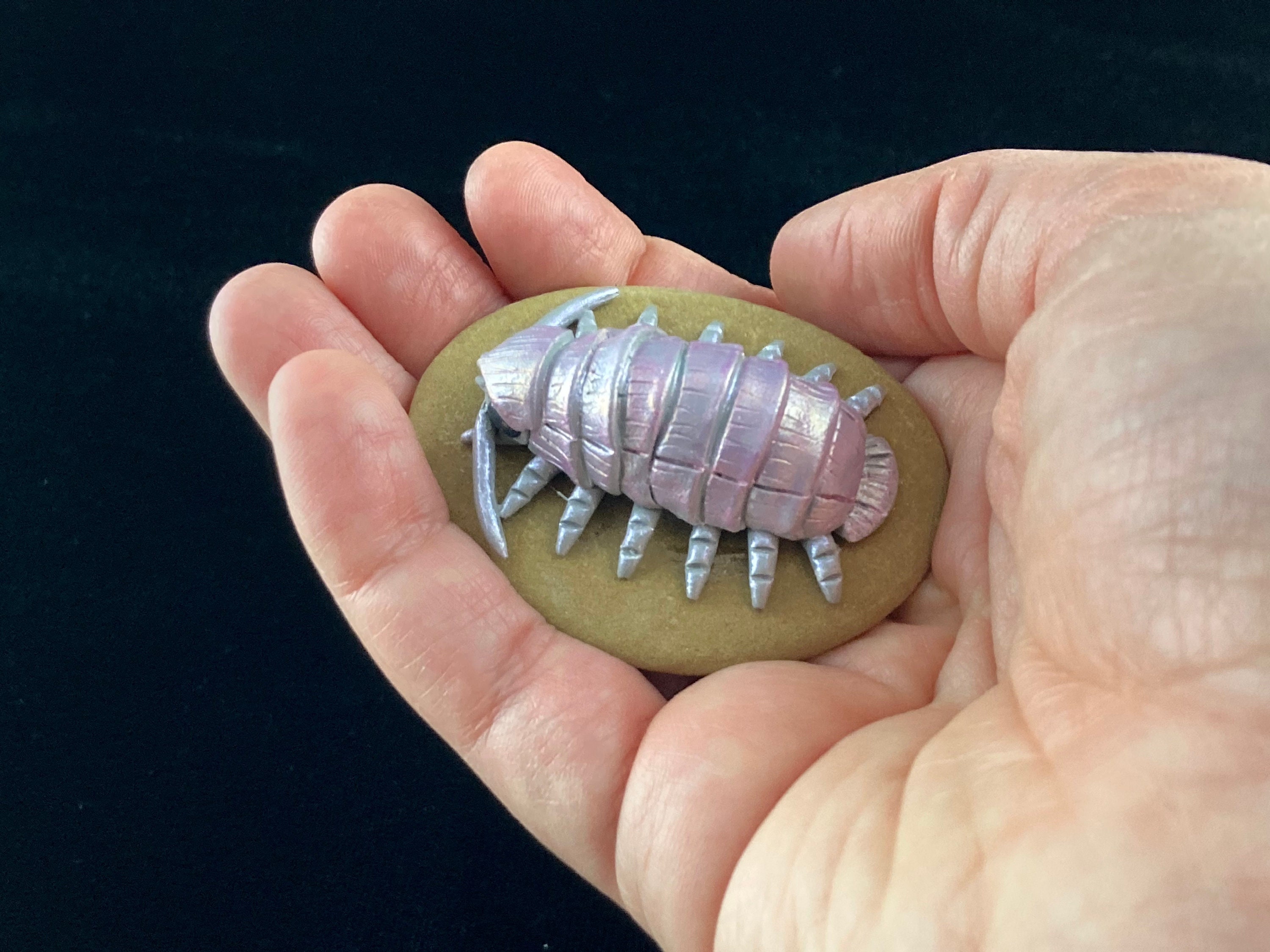 Giant Isopod Cat