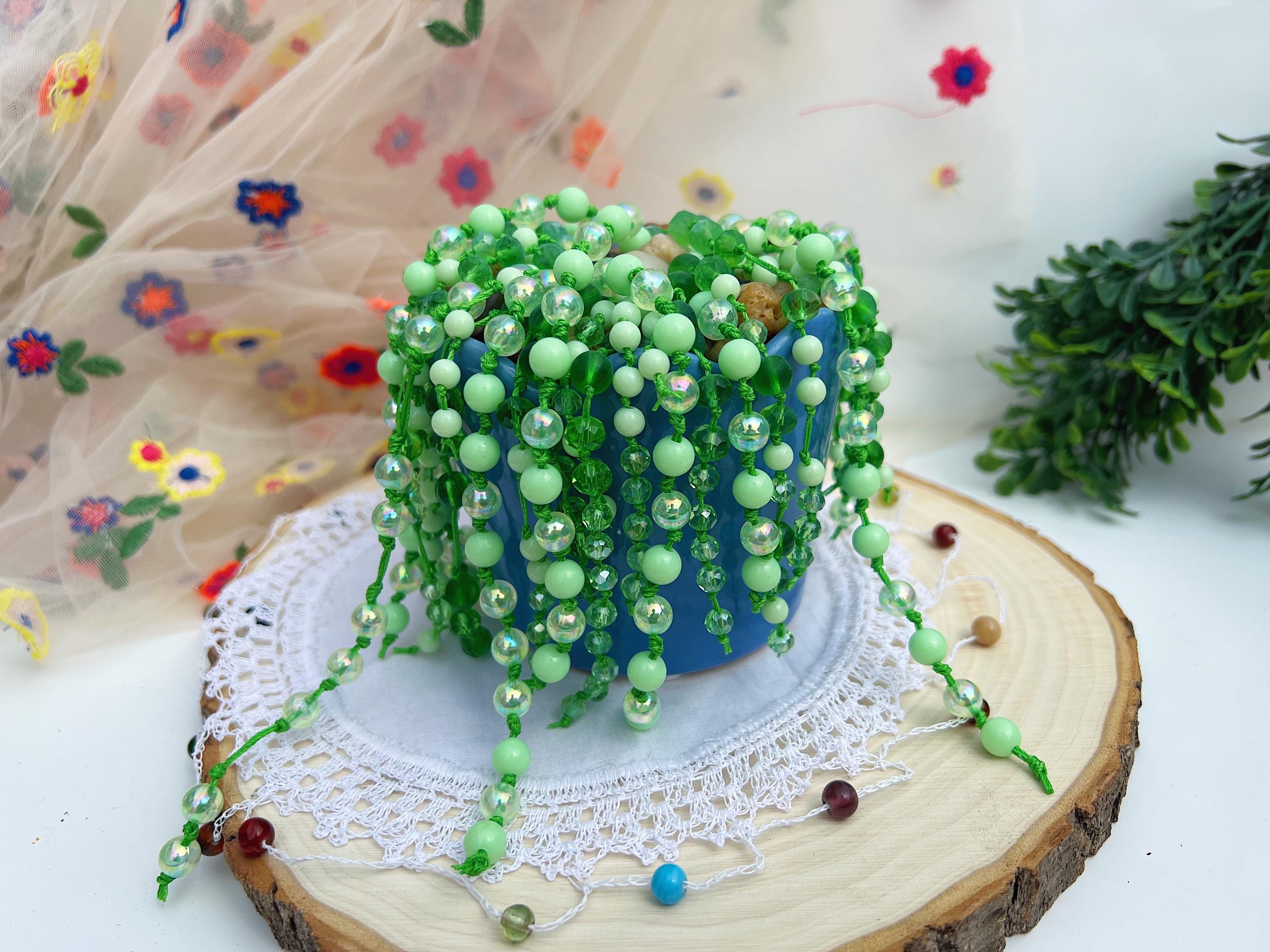 Medium Beaded String of Pearls Succulent (forever Indoor House Plant ...
