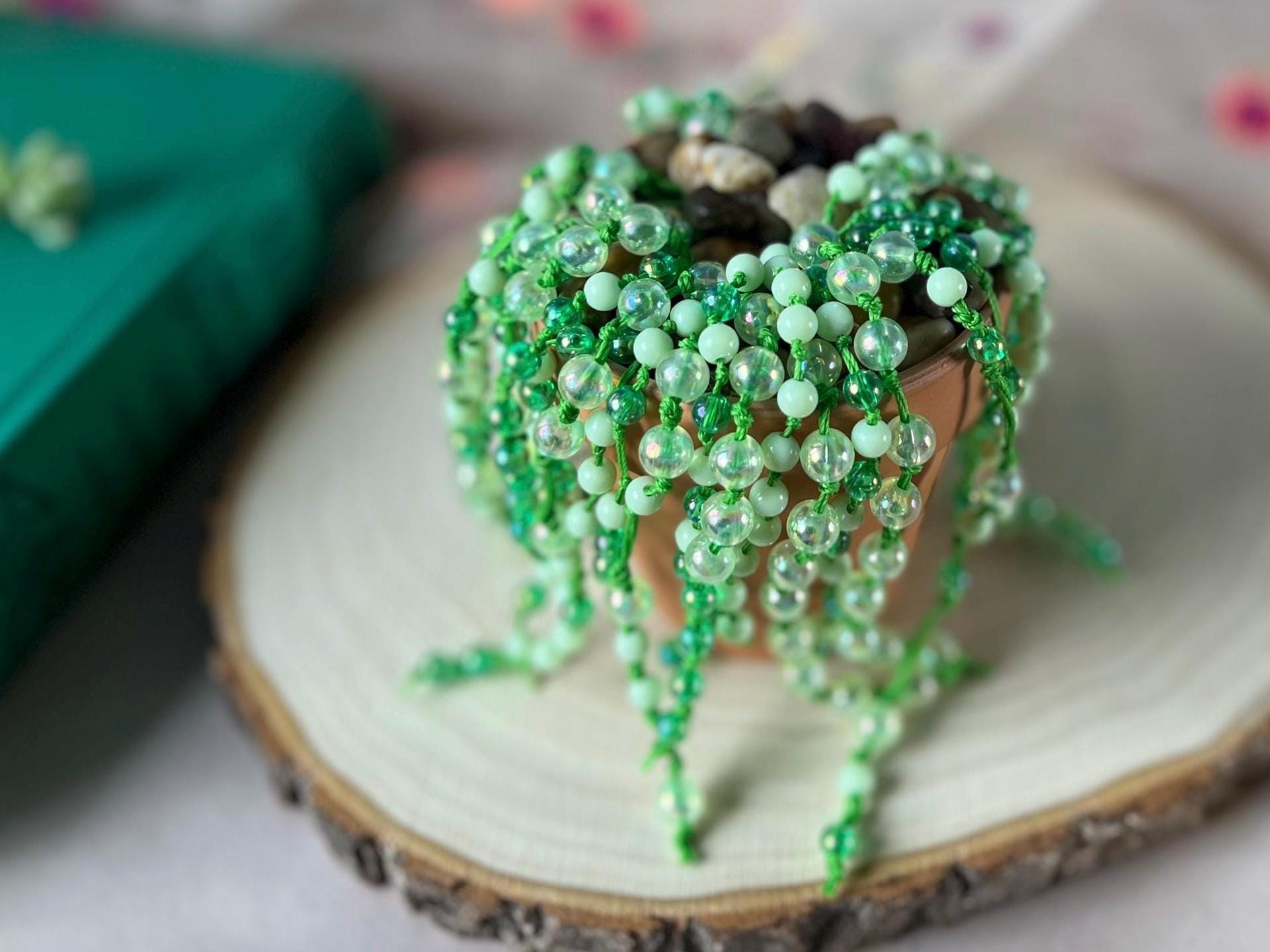 Small Beaded String of Pearls Succulent (forever Indoor House Plant) - Etsy