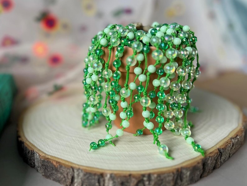 Small Beaded String of Pearls Succulent (forever Indoor House Plant) - Etsy