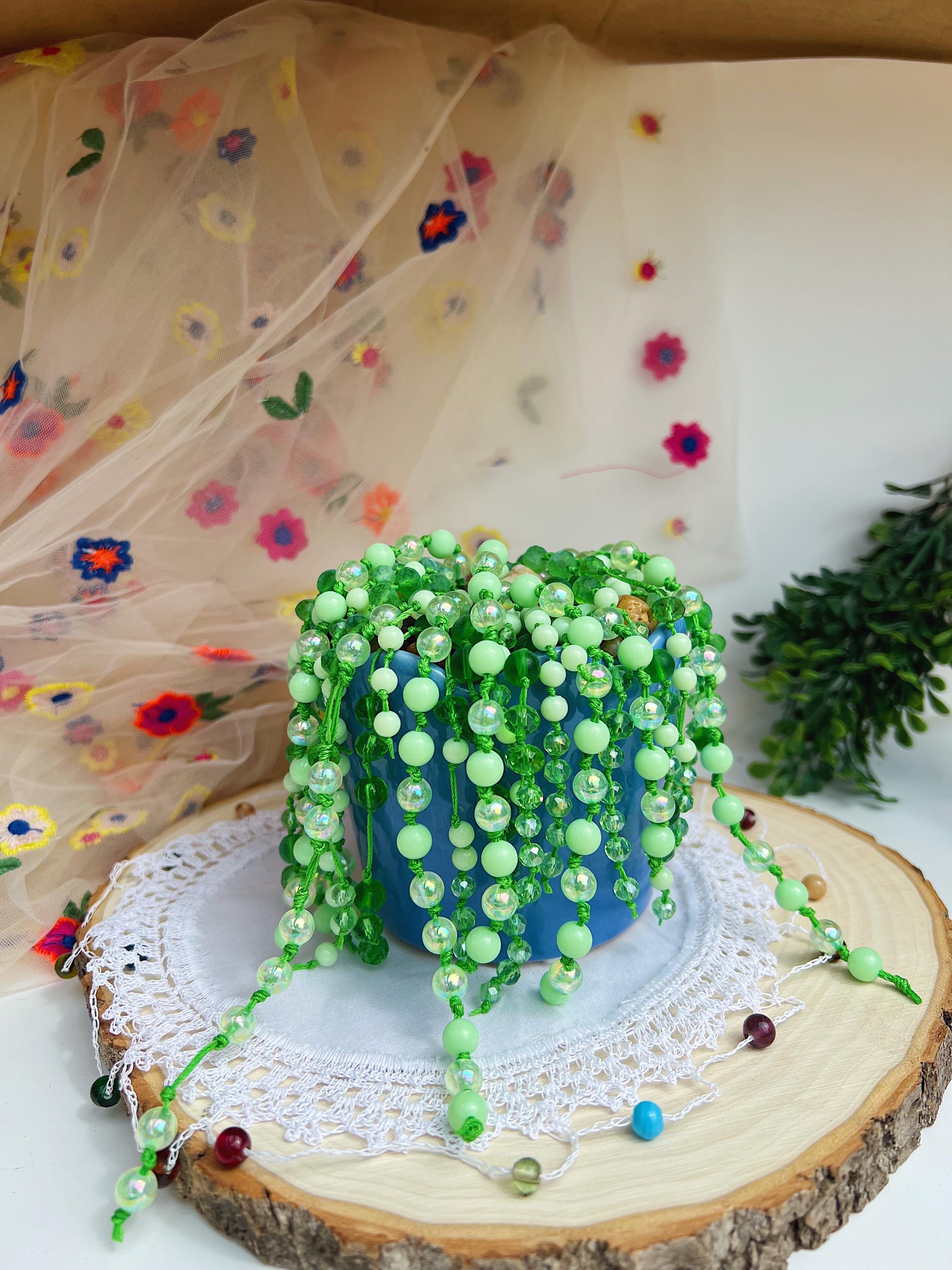 Medium Beaded String of Pearls Succulent (forever Indoor House Plant ...