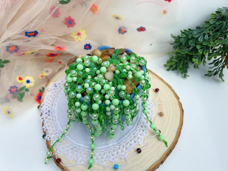 Medium Beaded String of Pearls Succulent (forever Indoor House Plant ...