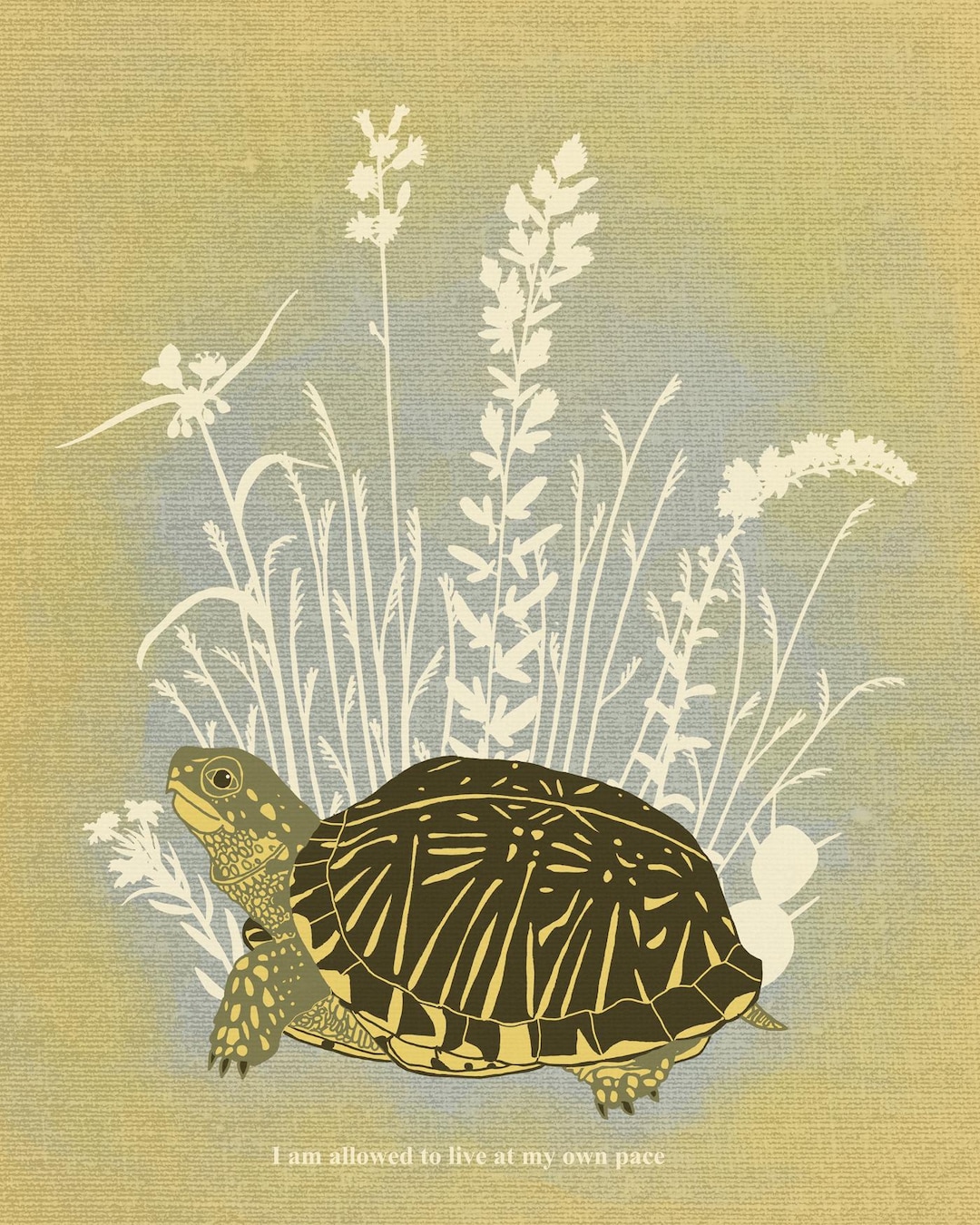 8x10 Ornate Box Turtle Illustration Print - Etsy