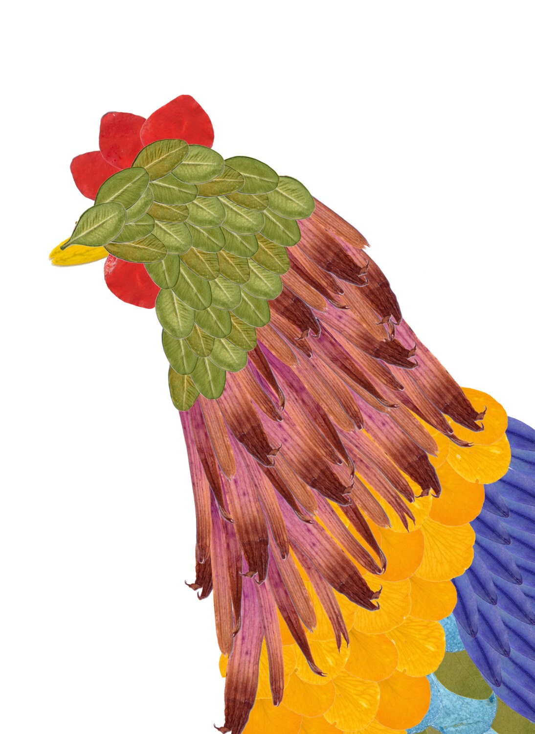 14x11 Colorful Hen Pressed Plant Collage - Etsy