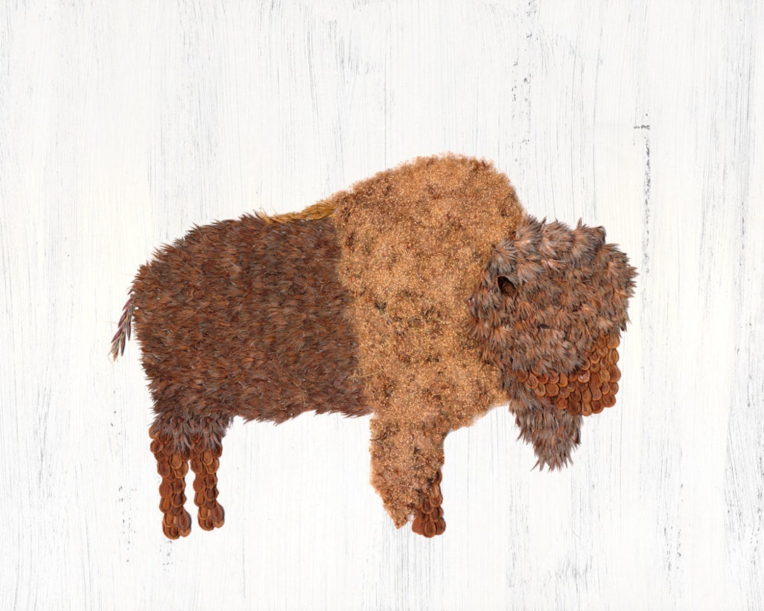 8x10 Bison Plant Collage - Etsy