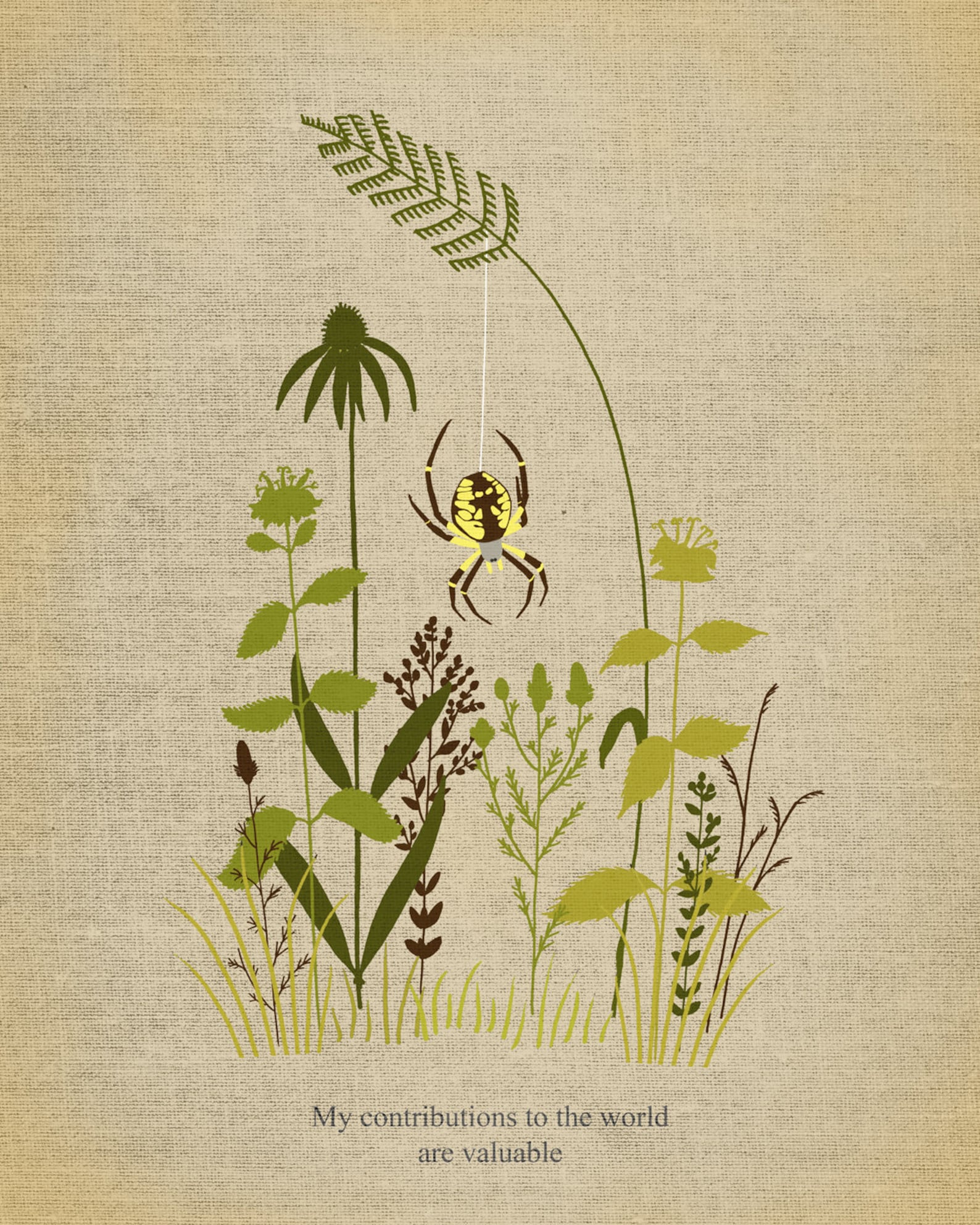 Prairie Spider Illustration Print - Etsy