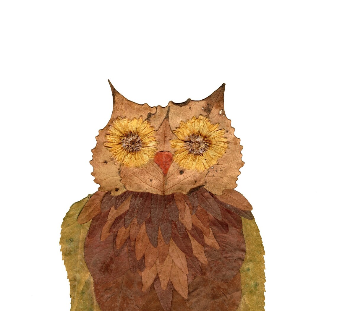 Owl Print - Etsy