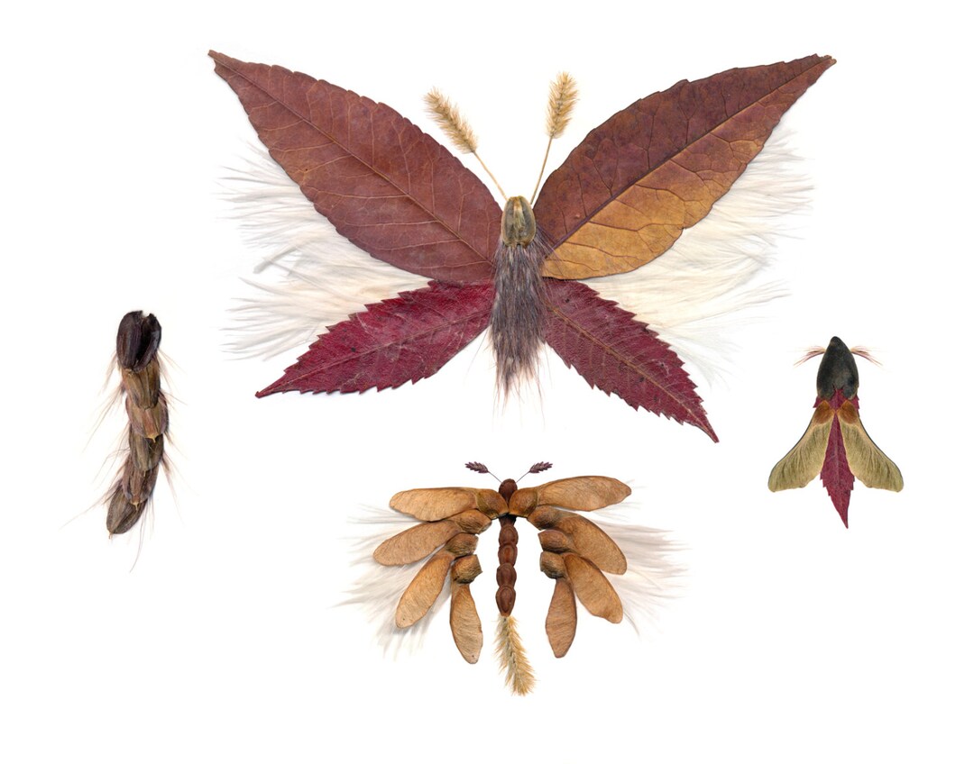 Furry Bug Collection 11x14 - Etsy