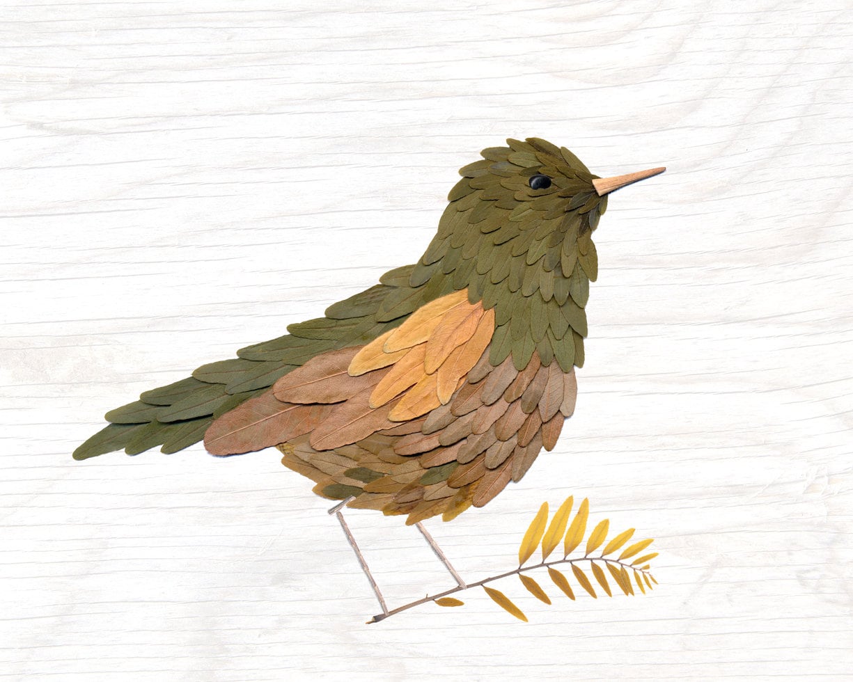 Simple Pressed Leaf Bird Print - Etsy