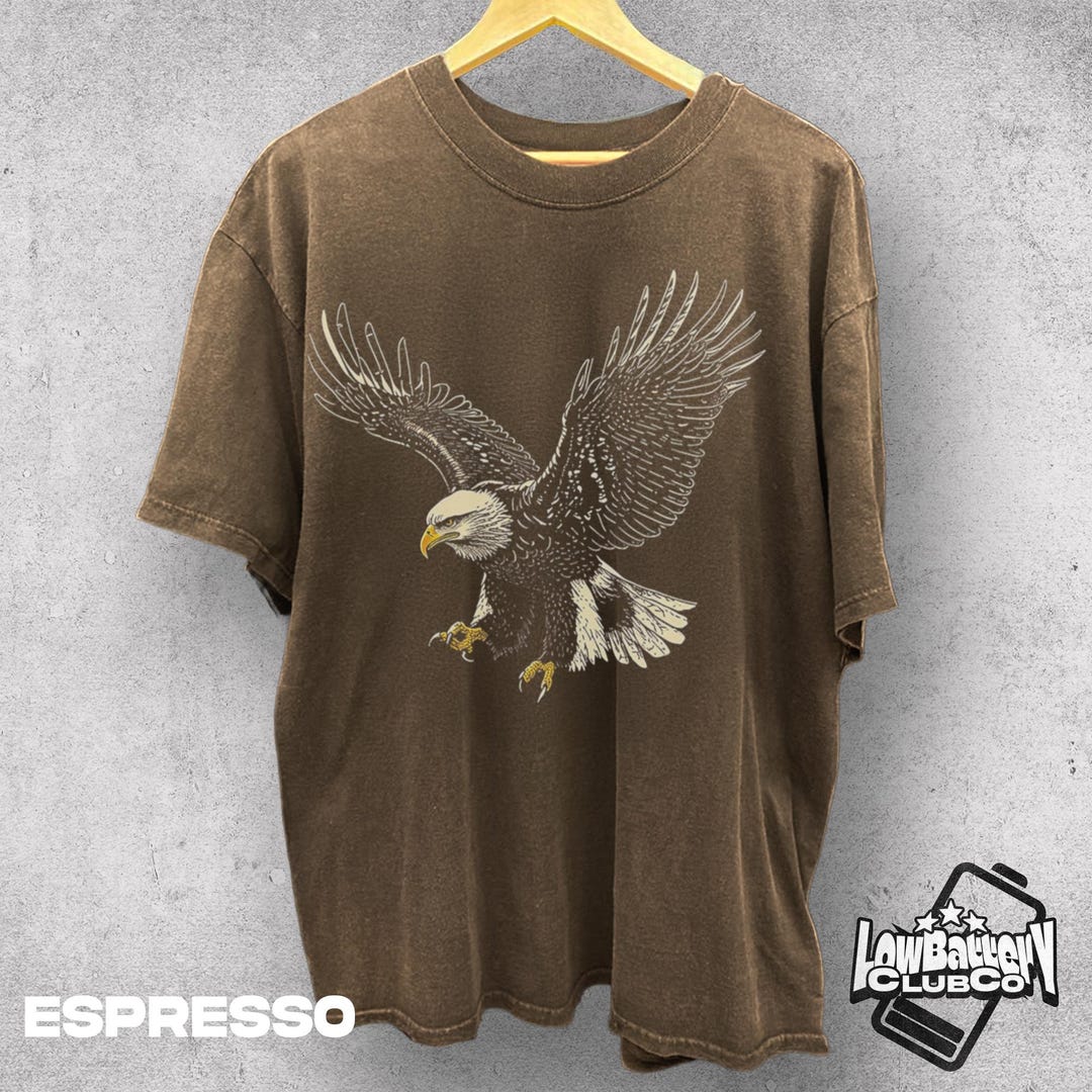 Vintage Eagle Graphic Tee, Retro Patriotic Shirt, Comfort Colors ...