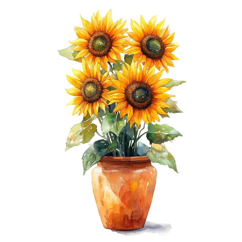 Sunflower Watercolor Clipart | High-resolution PNG or JPG for DIY ...