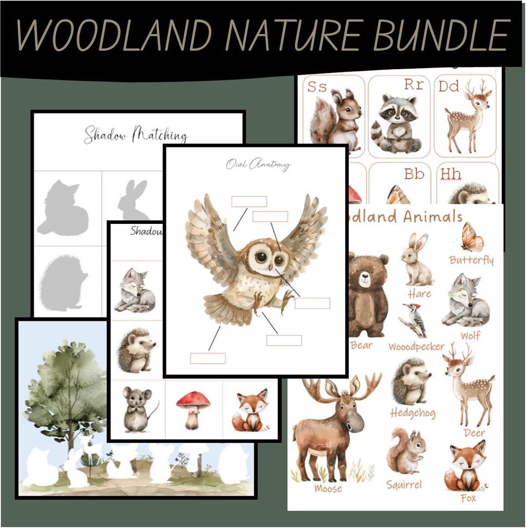 Woodland Animal Bundle - Etsy