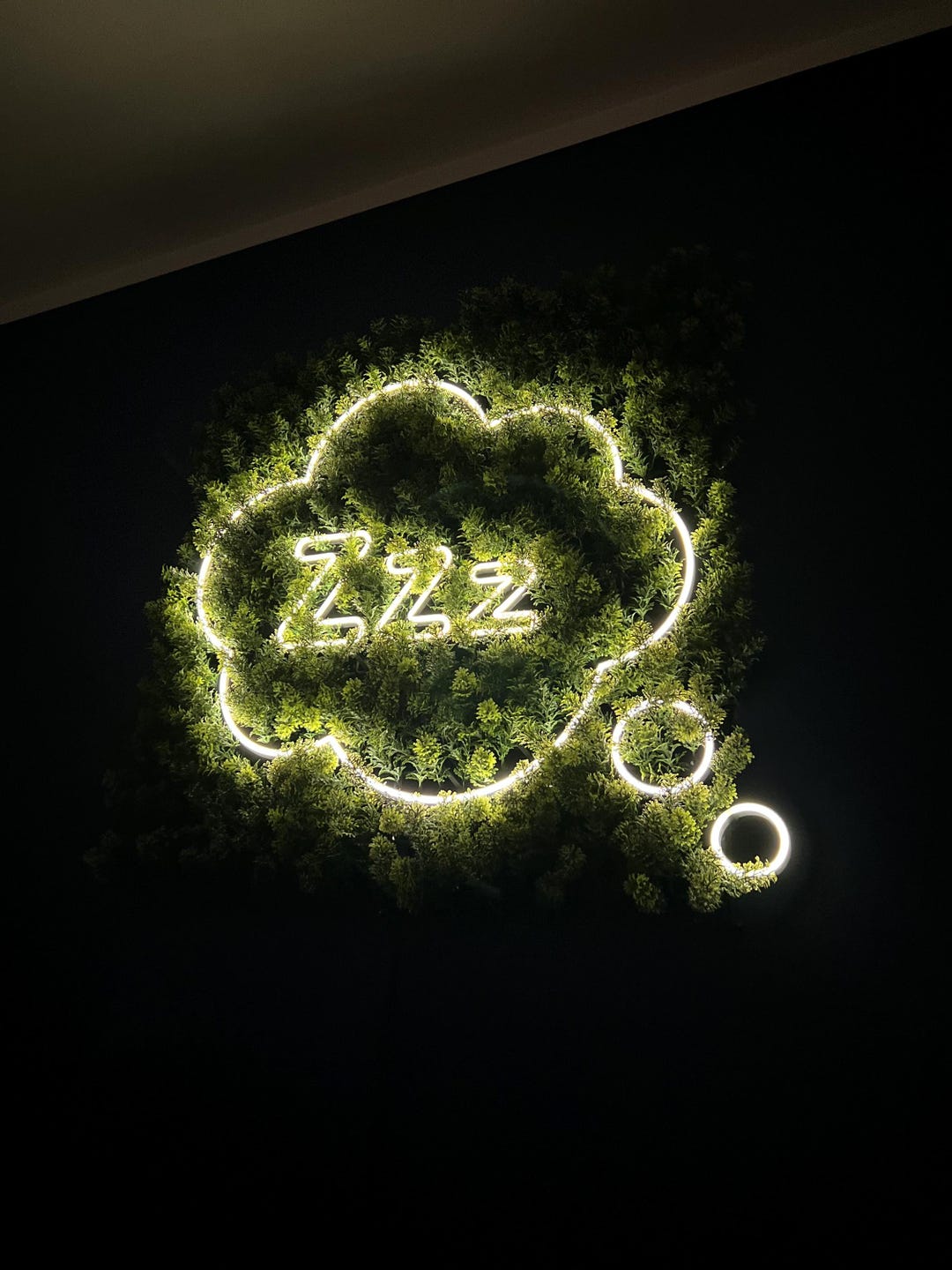 LED Neon Sweet Dreams Sign With Moss Background 80x80cm – Dreamy Wall ...