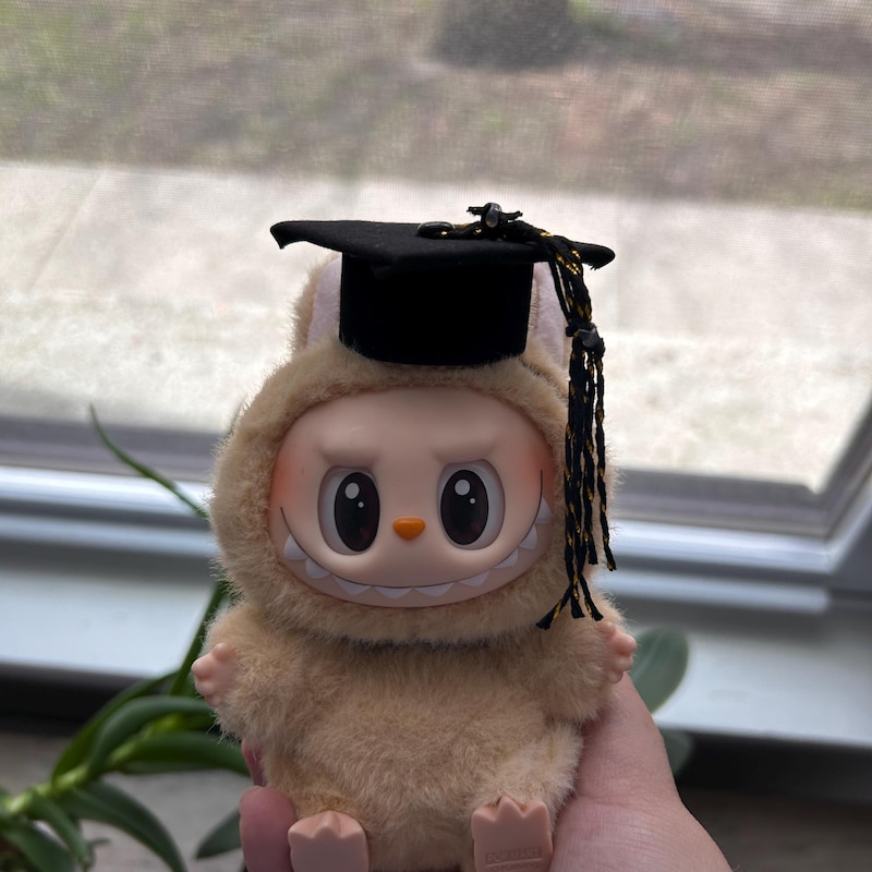 Labubu Graduation - Etsy