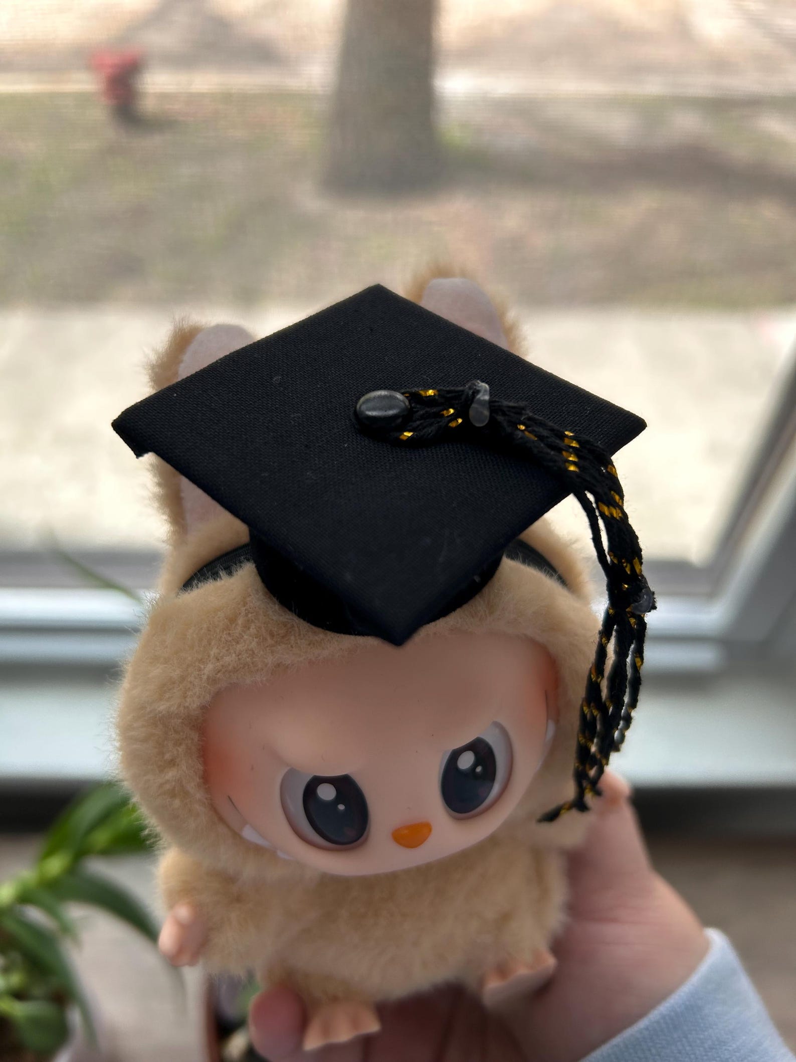 Graduation Cap for Labubu Doll - Etsy