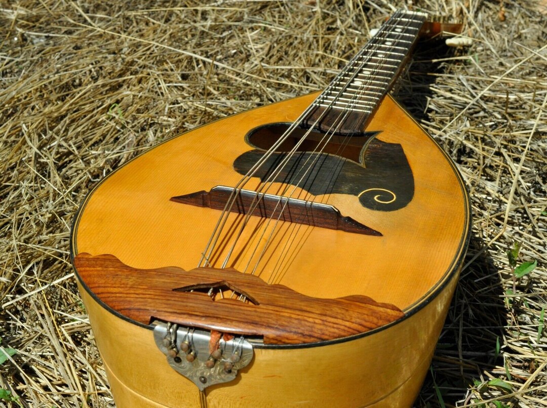 Vintage Mandolin 8 Strings Original Italy G Ghisleri Bergamo - Etsy