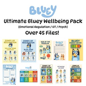Bluey Emotional Regulation Zone - Etsy