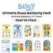 Bluey Wellbeing Pack - Zones of Regulation, Emotional Check In, ADHD ...