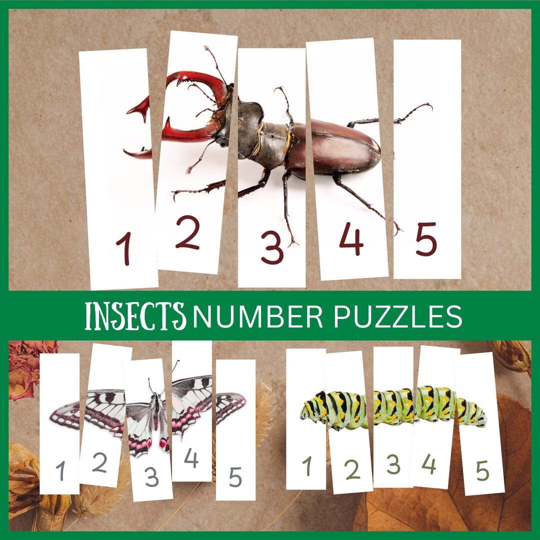 Custom Insects Name Puzzle, Personalized Toddler Quiet Book, Montessori ...