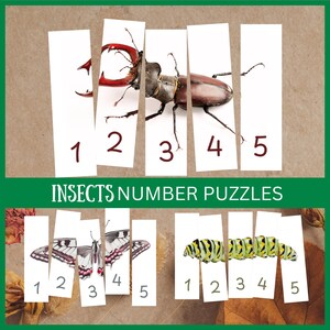 Custom Insects Name Puzzle, Personalized Toddler Quiet Book, Montessori ...