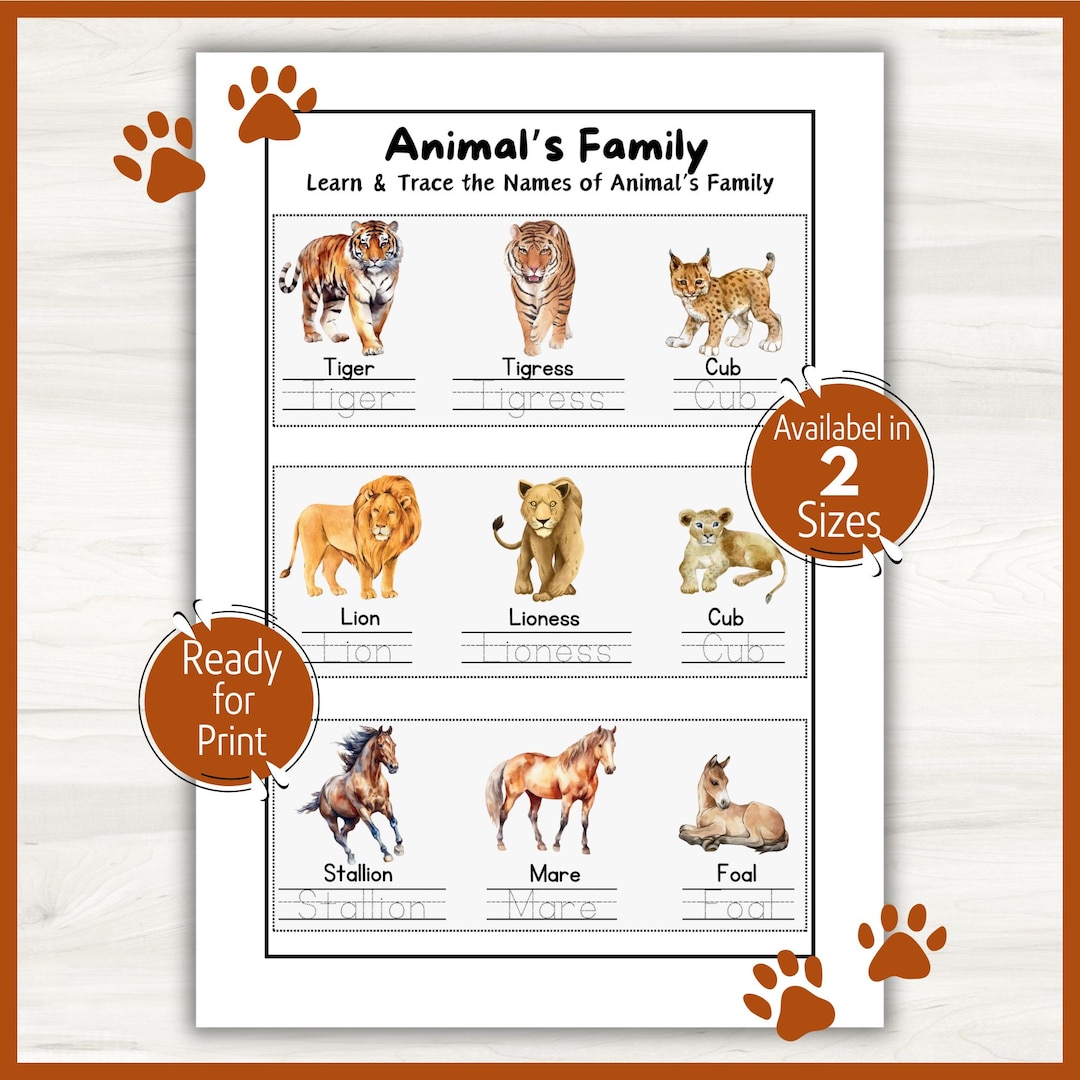 Printable Animal Family Names Poster for Kids – Educational Classroom ...