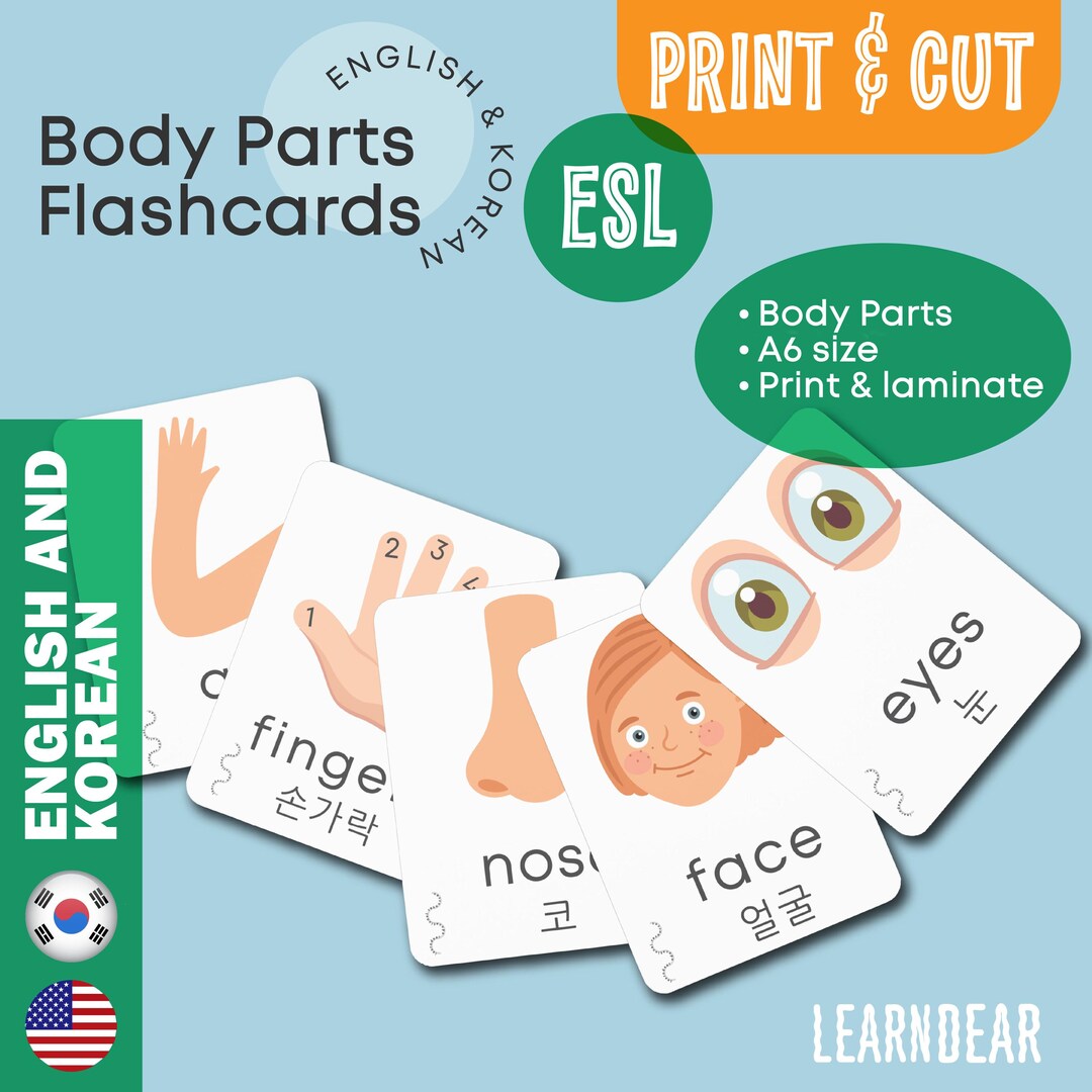 Body Parts Flashcards – ESL 15 Cards (english and Korean) - Etsy