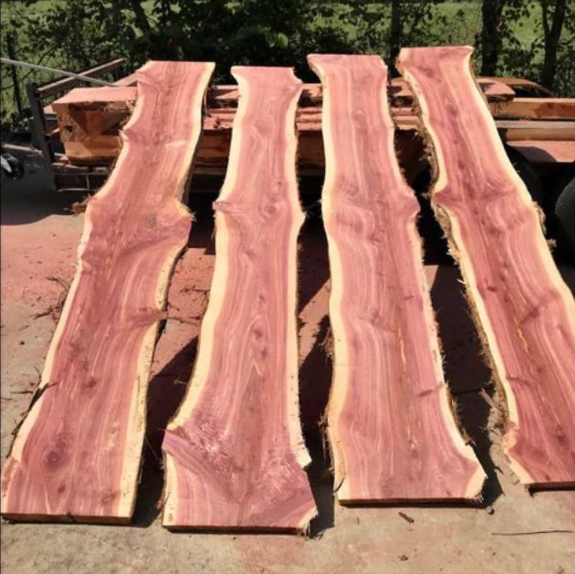 Live Edge Red Cedar Slabs – Hand-sanded, Kiln-dried Rustic Wood for Bar ...