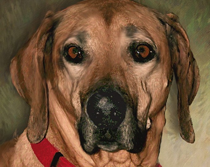 Custom Dog Portrait 8 X 8 Canvas Rhodesian Ridgeback. Hand Painted. - Etsy