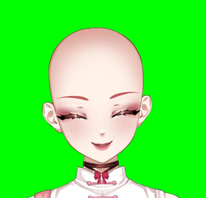 Premade Live2d Vtuber Model: Ready to Use, Vtubestudio Compatible FULLY ...