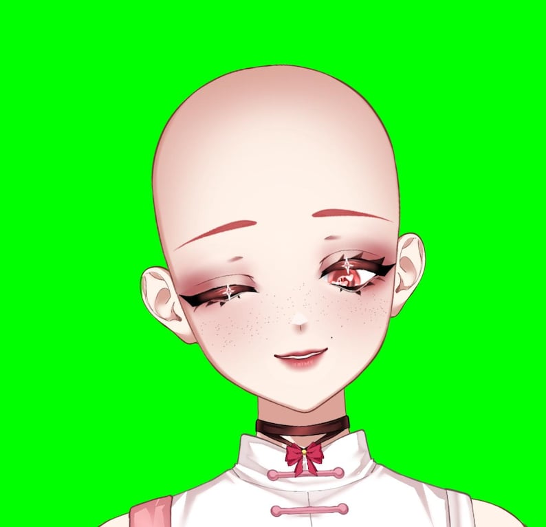 Premade Live2d Vtuber Model: Ready to Use, Vtubestudio Compatible FULLY ...
