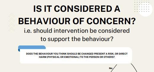 Defining Behaviours of Concern - A Flowchart for Practitioners - Etsy