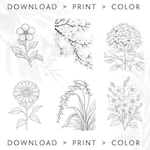 33 Minimalist Flower Coloring Pages | Printable Digital Art ...