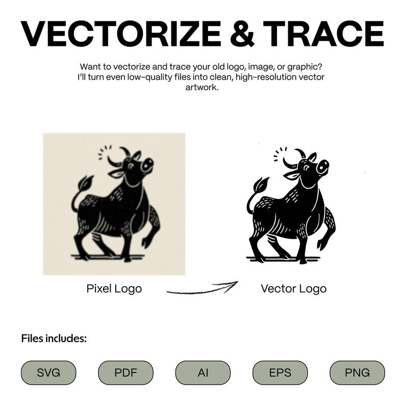 Custom Vectorization Service: Logo & Image Redraw, Convert to SVG/AI ...