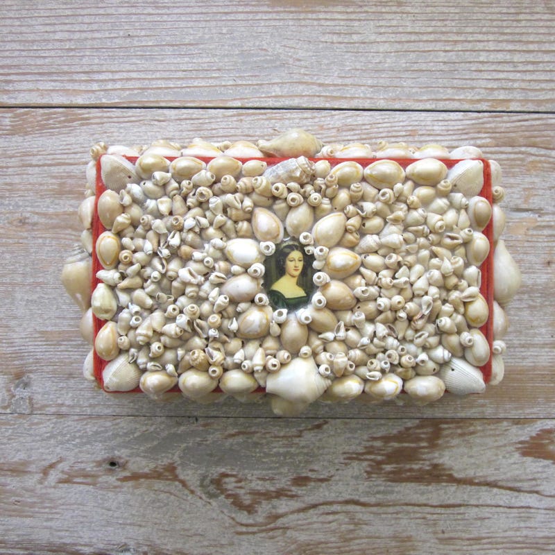 Shell Box - Etsy