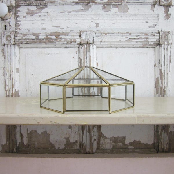Extra Large Glass Terrarium - Etsy
