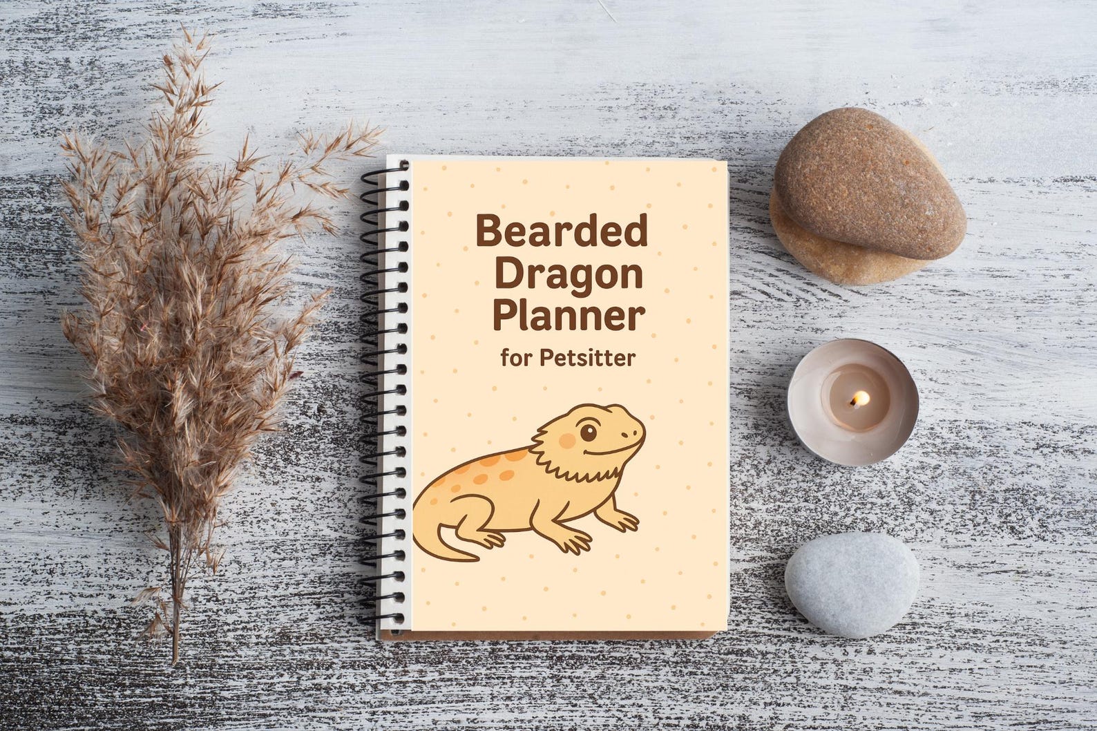 NEW! Bearded Dragon Pet Sitter Printable Kit – Care Sheets, Routine ...