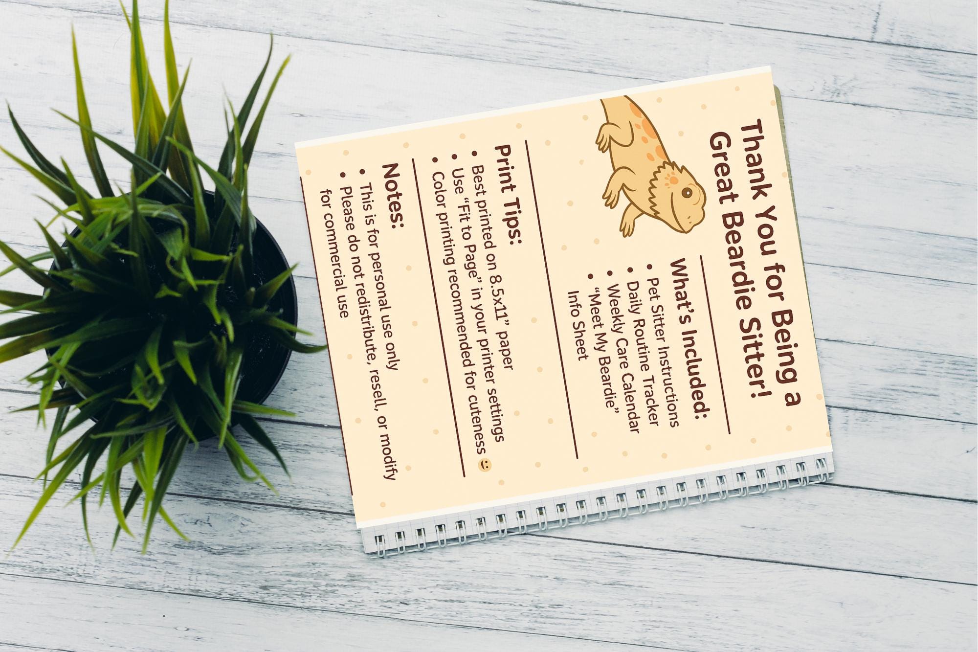 NEW! Bearded Dragon Pet Sitter Printable Kit – Care Sheets, Routine ...