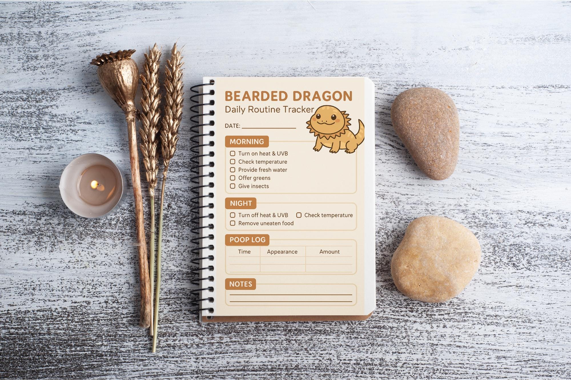 NEW! Bearded Dragon Pet Sitter Printable Kit – Care Sheets, Routine ...