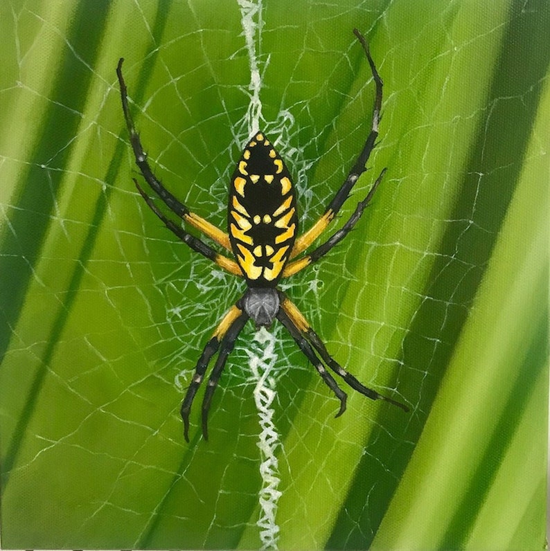 Spider, Orb Weaver Oil Painting Commissions Accepted - Etsy