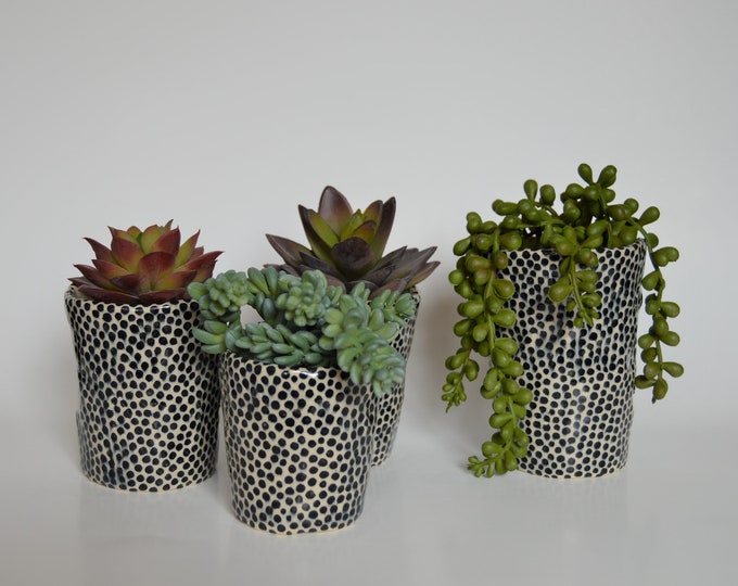 Small Spotted Succulent Planter - Etsy