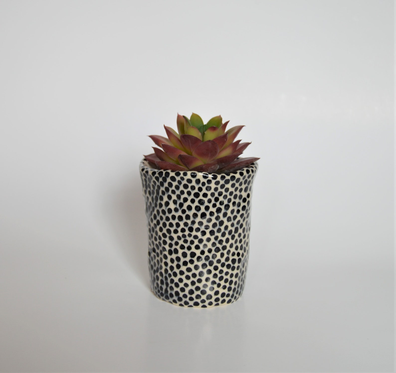 Small Spotted Succulent Planter - Etsy